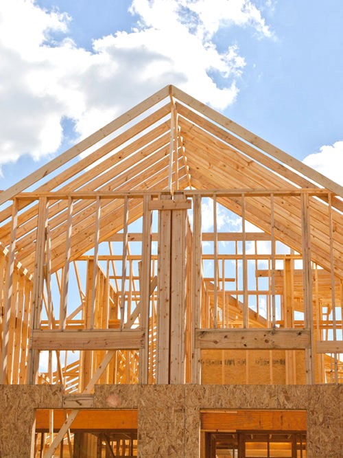 New Build vs. Established Homes: A Comparison